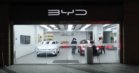 BYD EV car store and customers | Stock Video | Pond5