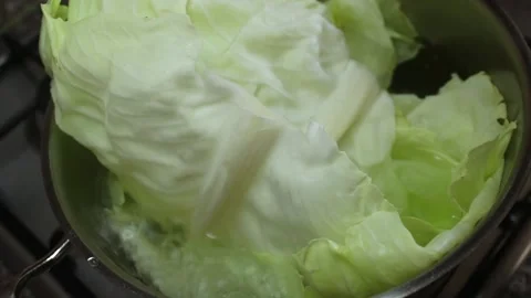 Cabbage leaves boiling in a pot | Stock Video | Pond5