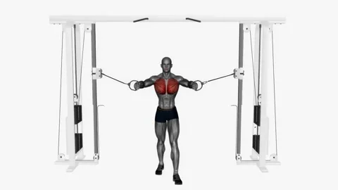 Fitness Animation Stock Video Footage | Royalty Free Fitness Animation ...