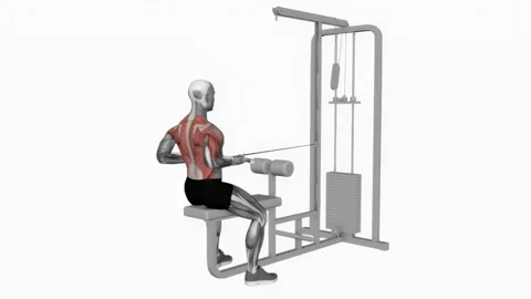 Cable Seated Supine grip Row fitness exe... | Stock Video | Pond5