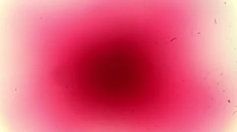 Cactus pollen under a microscope, (Stell... | Stock Video | Pond5