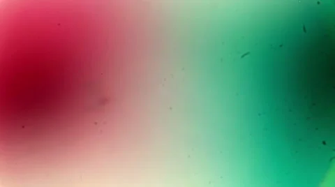 Cactus pollen under a microscope, (Stell... | Stock Video | Pond5