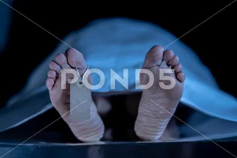 Cadaver on autopsy table at morgue, label tied to toe, close-up Stock ...