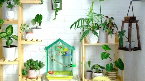 A cage with a budgie stands in a living ... | Stock Video | Pond5