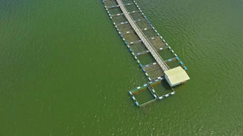 Cage fish farming, Hatillo dam in Domini... | Stock Video | Pond5