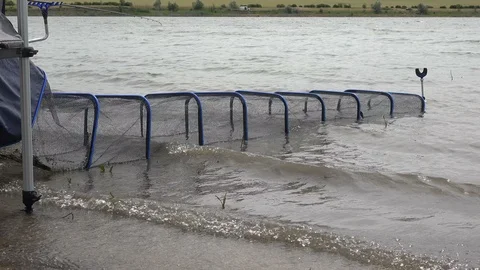 Caught In Cage Stock Videos – Royalty-Free HD & 4K Videos | Pond5