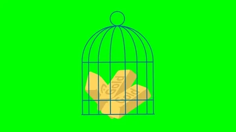 Cage is full of gold bars. Birdcage fall... | Stock Video | Pond5