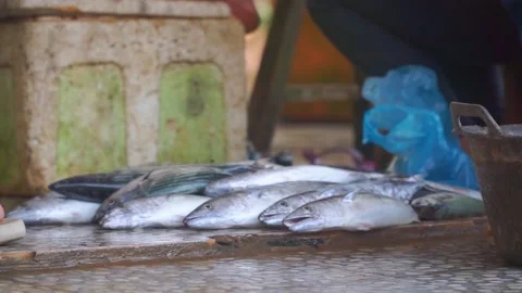 Cakalang fish of Skipjack tuna on the au... | Stock Video | Pond5