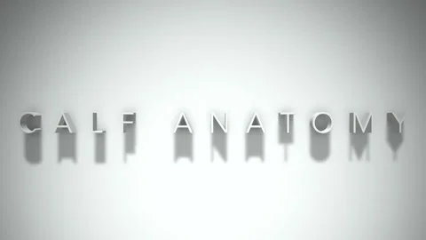 calf anatomy 3D title animation white te... | Stock Video | Pond5