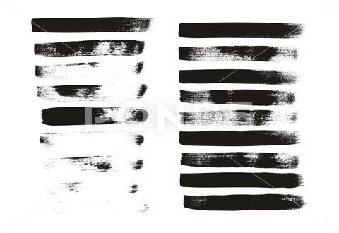 Calligraphy Paint Wide Brush Straight Lines High Detail Abstract Vector ...