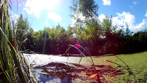 Calm Wind Stock Videos – Royalty-Free HD & 4K Videos | Page 5