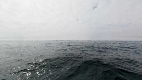 Calm Loop Stock Video Footage | Royalty Free Calm Loop Videos | Pond5