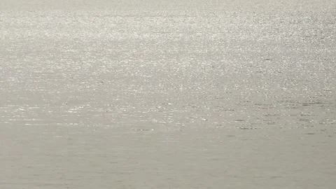 Morning Calm Energy Stock Videos – Royalty-Free HD & 4K Videos | Pond5