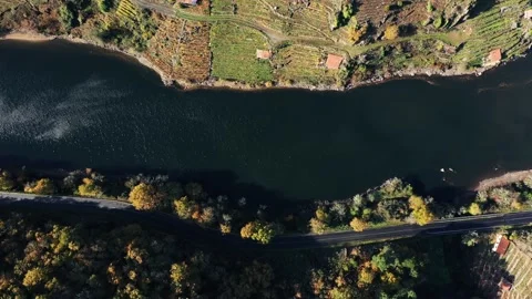 Calm By Sil Stock Videos – Royalty-Free HD & 4K Videos | Pond5