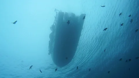 Camera Bbc1 Stock Videos – Royalty-Free HD & 4K Videos