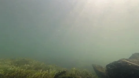 camera Floating under a river seeing lig... | Stock Video | Pond5