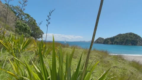 Reveal Hidding Stock Videos – Royalty-Free HD & 4K Videos | Pond5