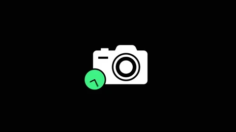 Shutter Clock In Stock Videos – Royalty-Free HD & 4K Videos