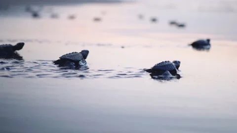 Camera movement and rack focus on group ... | Stock Video | Pond5