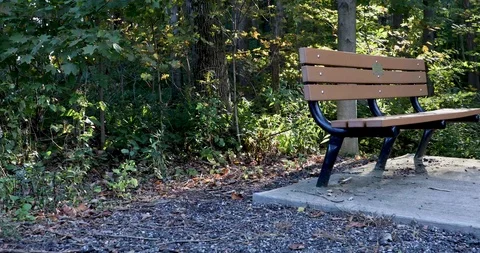 camera movement pass park bench into the... | Stock Video | Pond5