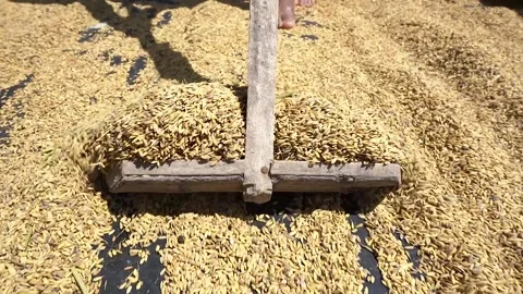 Cmera Videos Stock Videos – Royalty-Free HD & 4K Videos | Pond5