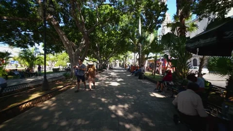 Camera moving through beautifully shaded... | Stock Video | Pond5