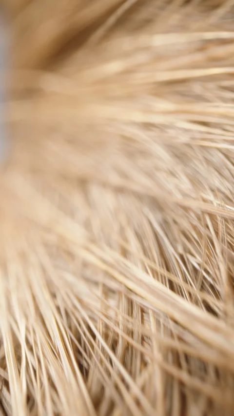 Video Camera 3500M Stock Videos – Royalty-Free HD & 4K Videos | Pond5