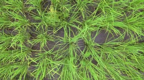 Video Camera 3500M Stock Videos – Royalty-Free HD & 4K Videos | Pond5