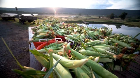 Camera turning to the left focussed on a... | Stock Video | Pond5