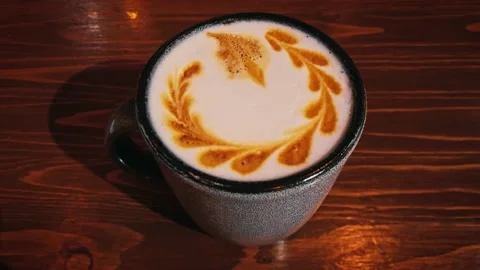 Camera Clcip Art Stock Videos – Royalty-Free HD & 4K Videos | Pond5