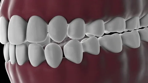 Camera Zooms in to Show Human Teeth | Hu... | Stock Video | Pond5