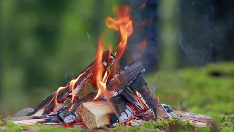 Camp Fire Burning Stock Video Footage | Royalty Free Camp Fire Burning ...
