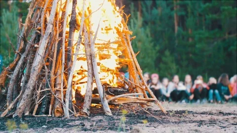 Share Branches Stock Videos – Royalty-Free HD & 4K Videos