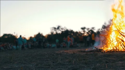 Share Branches Stock Videos – Royalty-Free HD & 4K Videos