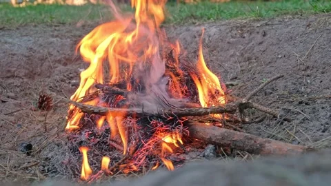 Campfire with Bright Fire Flames and Hot... | Stock Video | Pond5