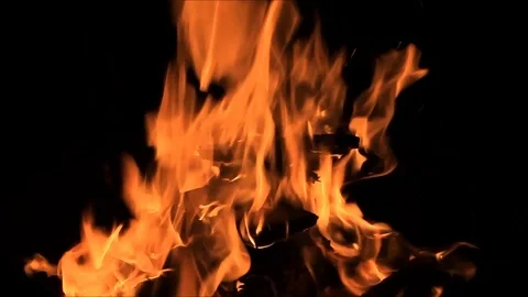 Fire Wood Party Stock Videos – Royalty-Free HD & 4K Videos | Pond5