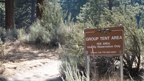 Camping Fee Area Sign in a Campground | Stock Video | Pond5