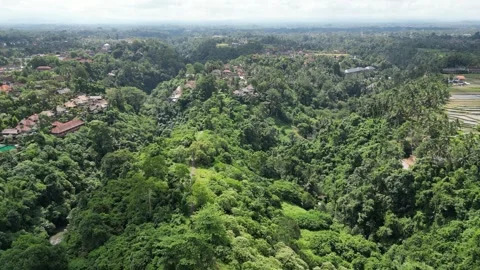 Campuhan ridge walk, Ubud, Bali , Indone... | Stock Video | Pond5