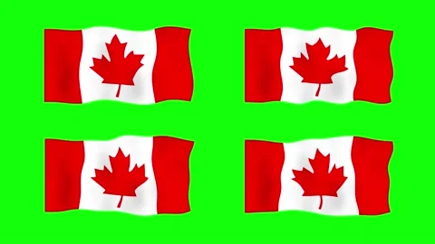Canada Waving Flag 2D Animation on Green... | Stock Video | Pond5