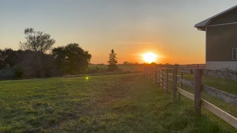 Sunset Dairy Farm Stock Videos – Royalty-Free HD & 4K Videos
