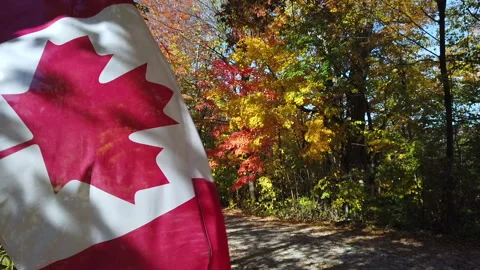 Up Road Against Stock Videos – Royalty-Free HD & 4K Videos