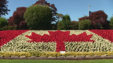 Canadian Flag made from Flowers | Stock Video | Pond5