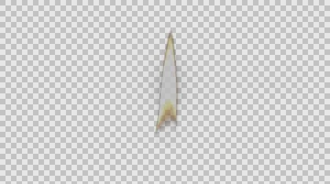 Vog1Yo Stock Footage ~ Royalty Free Stock Videos | Pond5