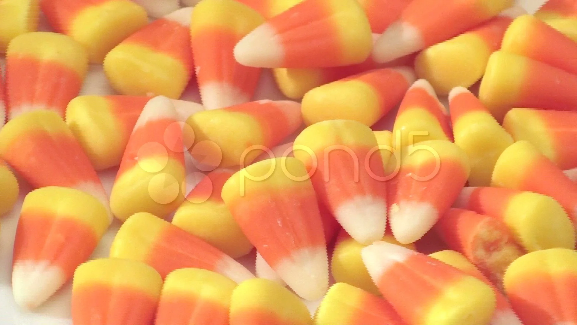 Candy Corn Zoom Candy??? Where Are You??? : R/GroundedGame