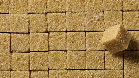 Sugar Cane Full Stock Videos – Royalty-Free HD & 4K Videos | Pond5