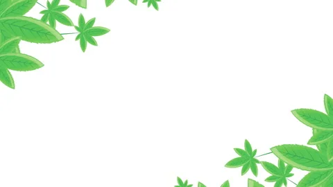 Weed Leaf Border Stock Videos – Royalty-Free HD & 4K Videos | Pond5