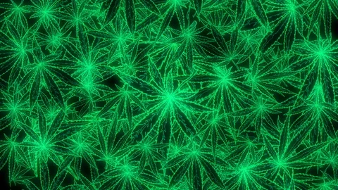 Cannabis Night Party Background | Stock Video | Pond5