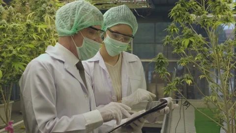 In Scient Stock Videos – Royalty-Free HD & 4K Videos | Pond5