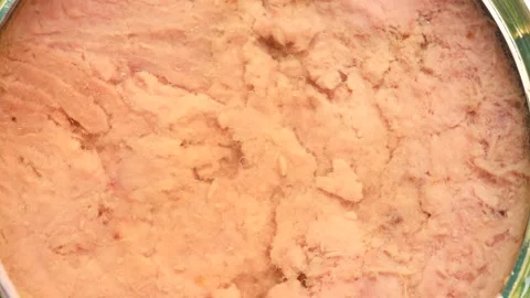 Canned tuna in an iron can, rotation in ... | Stock Video | Pond5