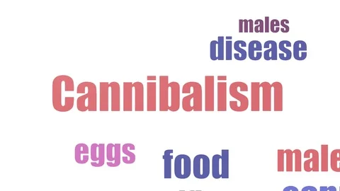 Cannibalism Stock Video Footage | Royalty Free Cannibalism Videos | Pond5